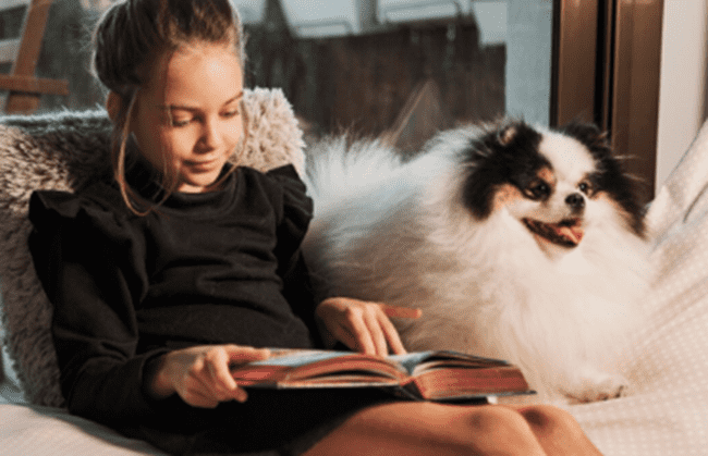 6 Essential Tips For Taking Care Of Your Furry Best Friend